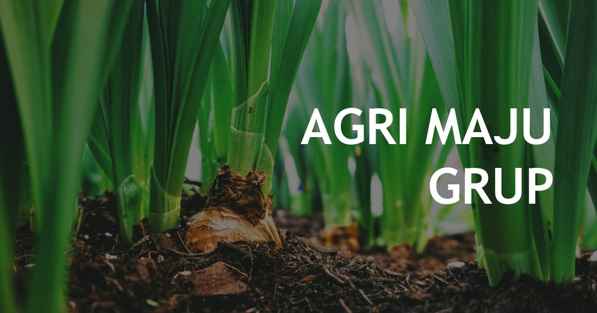Agri Maju Grup
